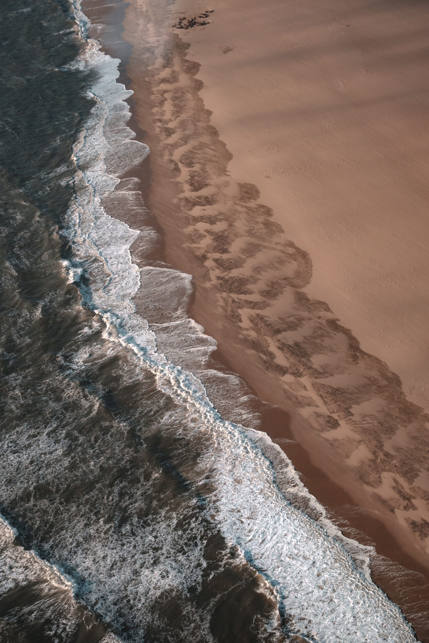 Donkey Bay • Life in Namibia