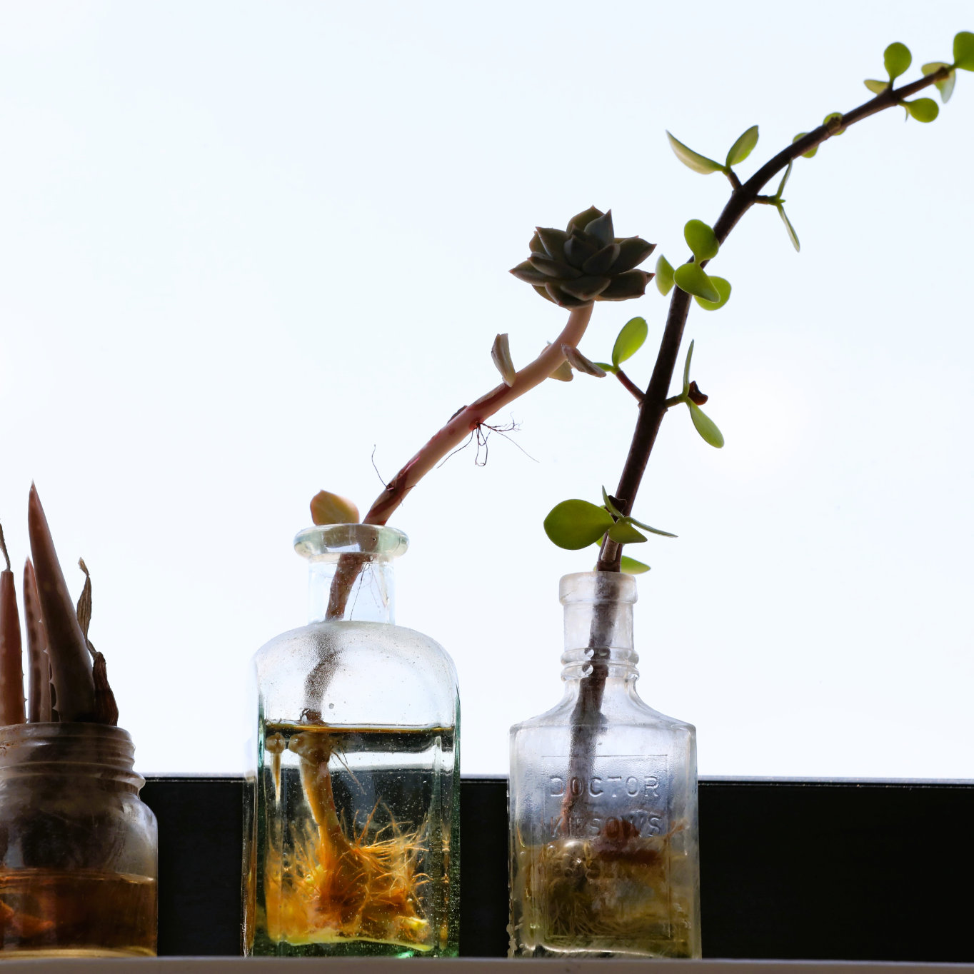A Tranquil Oasis in the Namib Desert: The Desert Shack - Life in Namibia