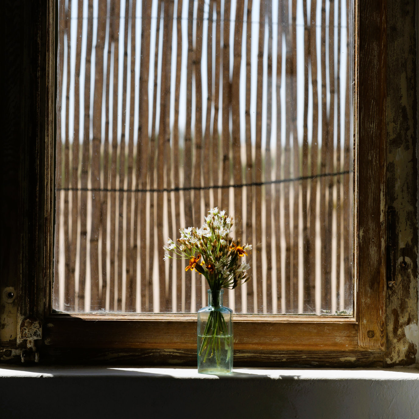 A Tranquil Oasis in the Namib Desert: The Desert Shack - Life in Namibia
